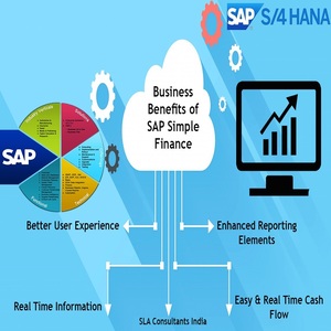 sap-simple-finance-training